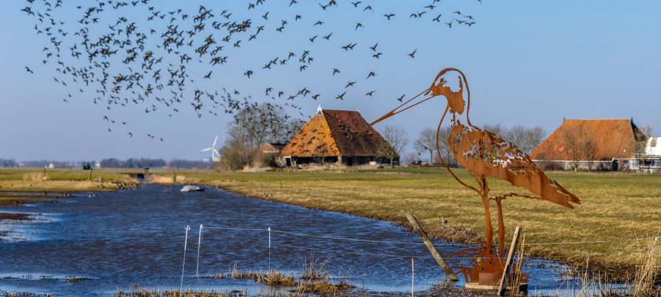 Nieuwe taken en groter budget voor ANLb, maar er zijn ook nog zorgen ...