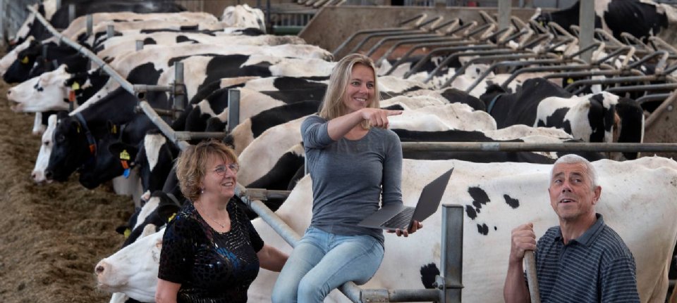 Liquiditeitsplanning kan melkveehouders grip geven - Nieuwe Oogst