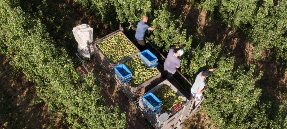 'Ook fruitteler verdient duurzaam beleid' - Nieuwe Oogst