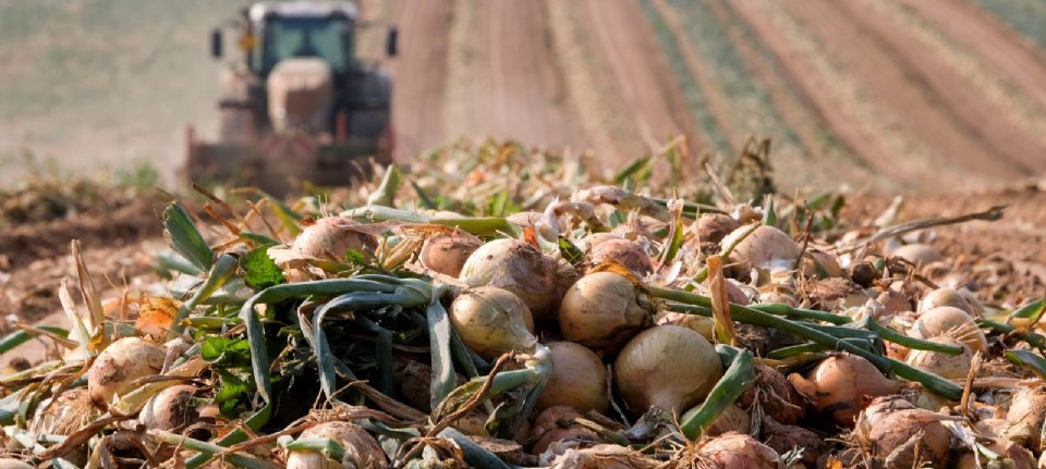 Arvalis-adviseur legt goede landbouw- en milieucondities uit - Nieuwe Oogst