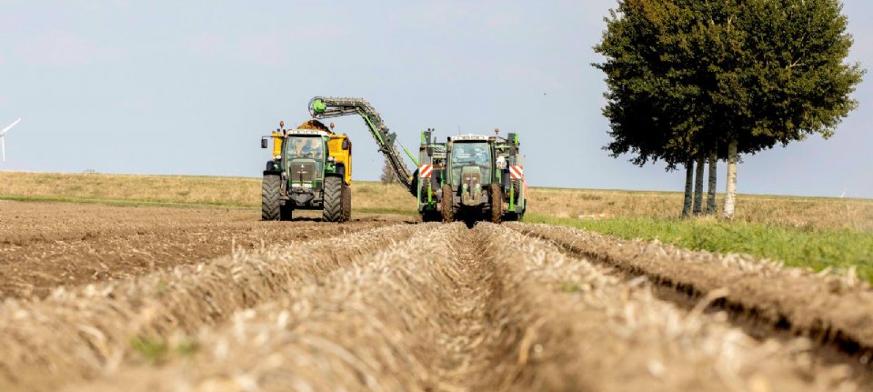EU oogst iets minder aardappelen en suikerbieten dan in 2021 - Nieuwe Oogst