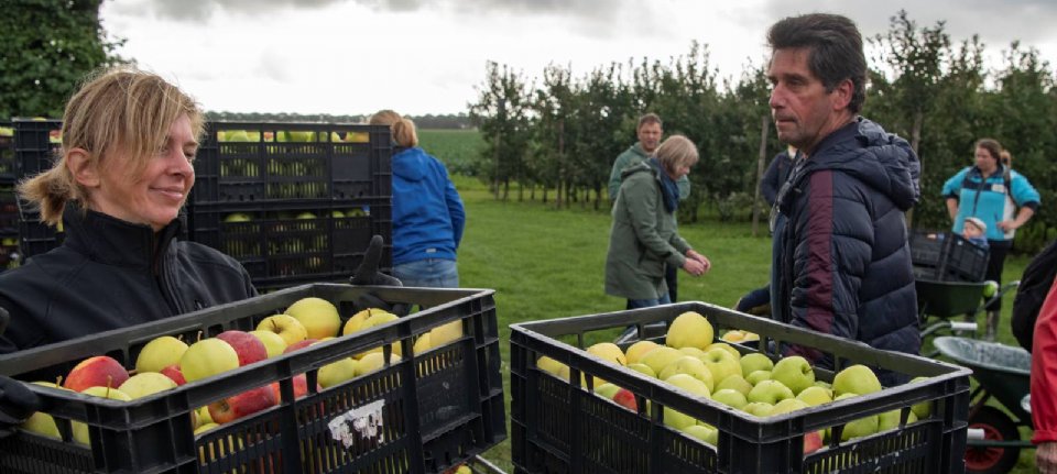 100.000 kilo appels voor de voedselbank - Nieuwe Oogst