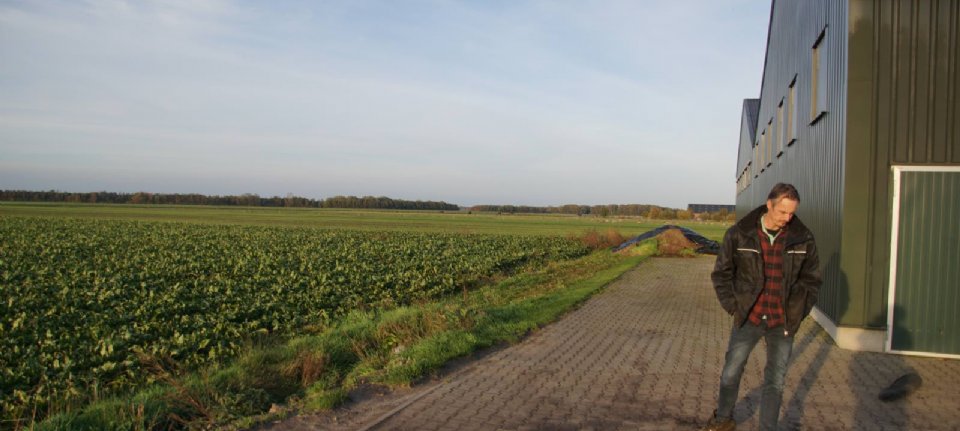 Akkerbouwer Johan Koop kiest ras dat past bij zijn bedrijf en afzetdoel ...