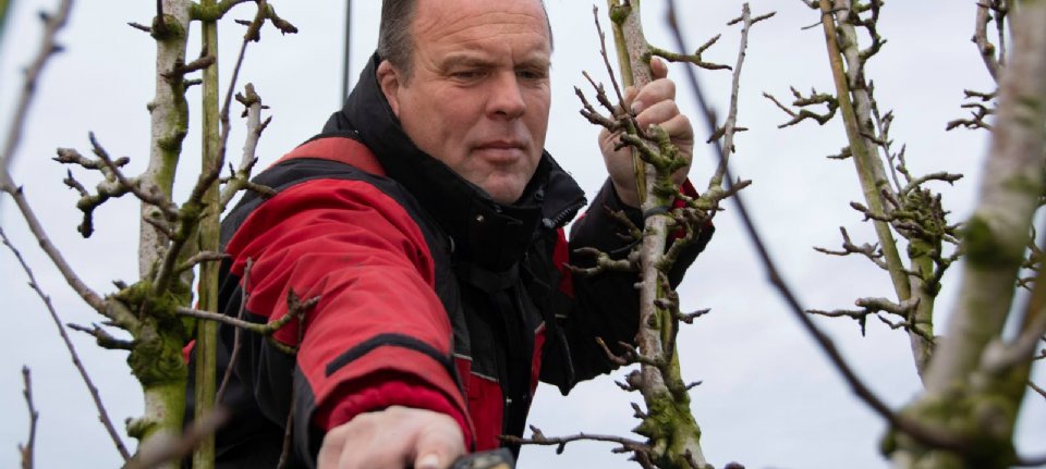 Bert Roest en Aart van Wijk fruittelers van het jaar 2022 - Nieuwe Oogst