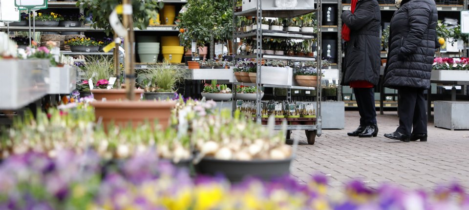 Metingen tonen aan: tuinplanten nog niet residuvrij - Nieuwe Oogst