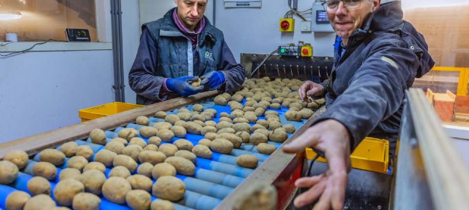 Laatste Friese poters gaan over de band - Nieuwe Oogst