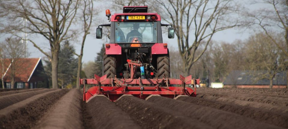 LTO en Vavi: impact gewaslijst enorm voor aardappeltelers op zand- en ...
