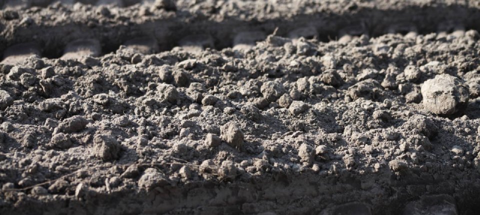 'Weerbare bodem wordt steeds belangrijker' - Nieuwe Oogst