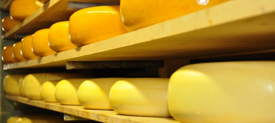Medewerkers Bouter Cheese gaan opnieuw staken - Nieuwe Oogst