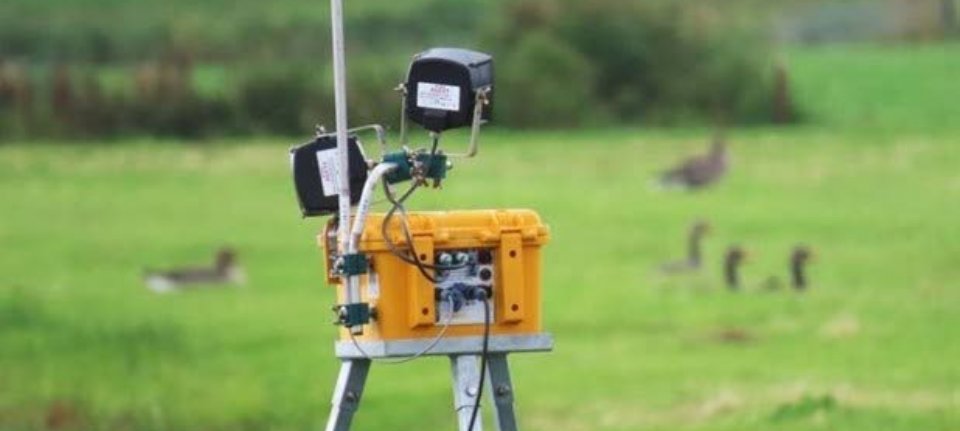 BIJ12: BirdAlert effectief middel om ganzen te verjagen - Nieuwe Oogst