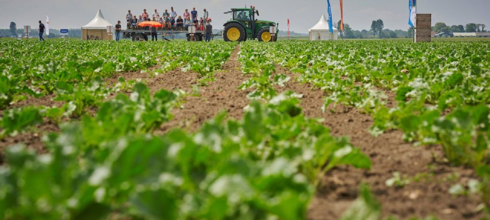 CZAV en CAV Wieringermeer mogen fuseren - Nieuwe Oogst