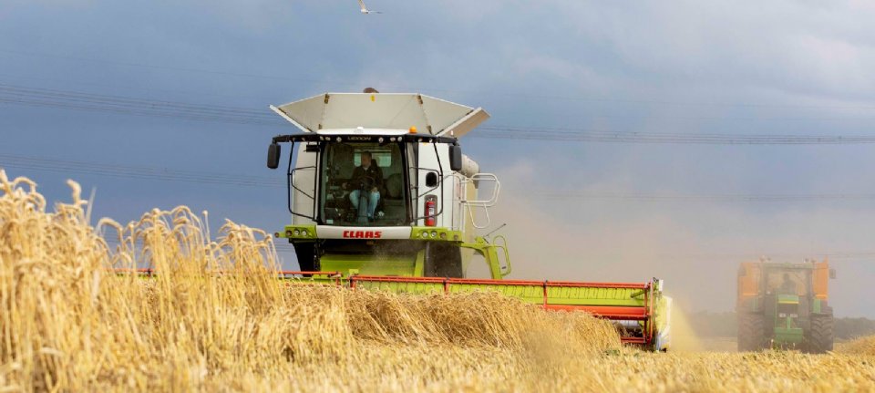 Eerste indruk van oogst wintertarwe: 'Wisselende opbrengsten' - Nieuwe ...