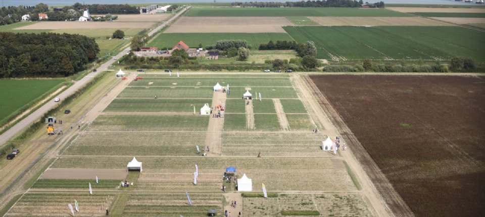 CZAV en CAV Wieringermeer fuseren onder de naam FarmPlus - Nieuwe Oogst