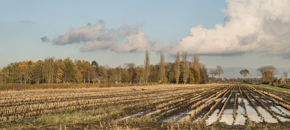 Provincies klagen over lage rijksbedragen voor landelijk gebied ...