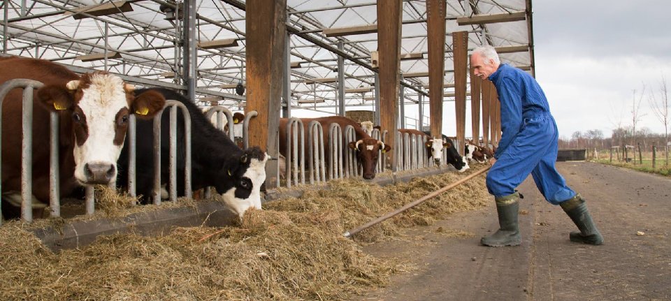 Biodynamische boer: vooroplopen met vee door altijd klantgericht te ...