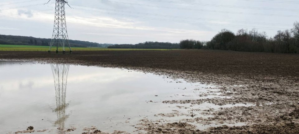 AgriVer en BFAO fuseren en zijn nu samen de grootste verzekeraar ...