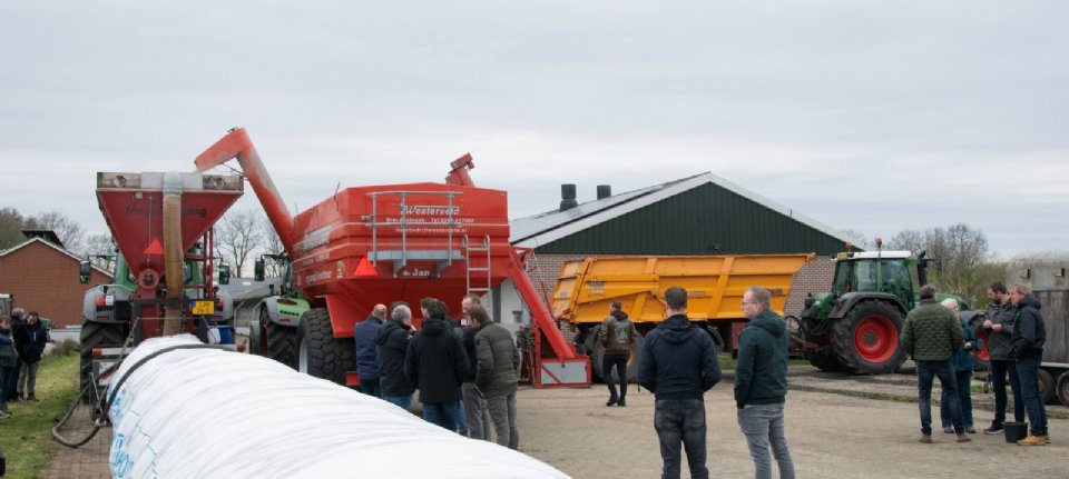 Beter biologisch varkensvoer met mengkuil - Nieuwe Oogst