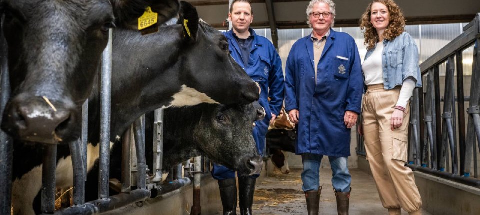 'Veemarkt is nostalgie en vakmanschap' - Nieuwe Oogst