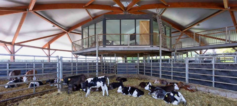 'Als boer ben je ondernemer en maak je je eigen perspectief' - Nieuwe Oogst