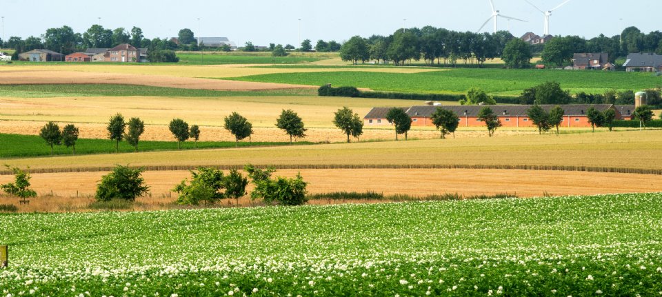 Enorme stijging braakland in België - Nieuwe Oogst