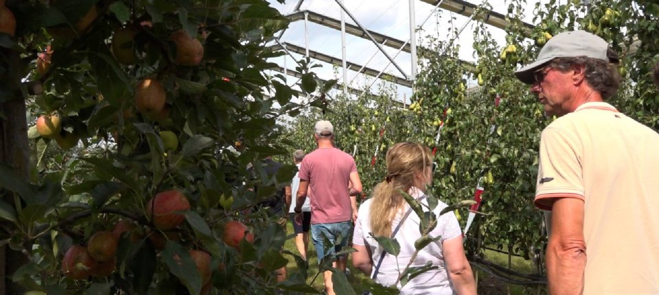 Proeftuin Randwijk test overkappingen en toekomstgerichte fruitrassen ...