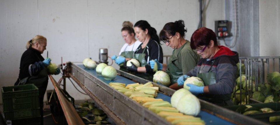 Arbeid en energie drukken hard op kostprijs van Zwitserse groenteteler ...
