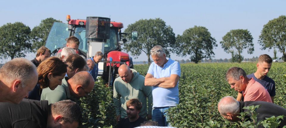 Nieuwe machines elektrocuteren onkruid tussen vruchtbomen - Nieuwe Oogst