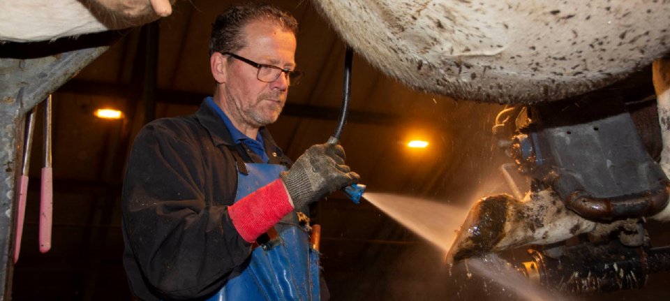 Klauwbekapper adviseert schoonspuiten: 'Als je stront inpakt, pak je ...