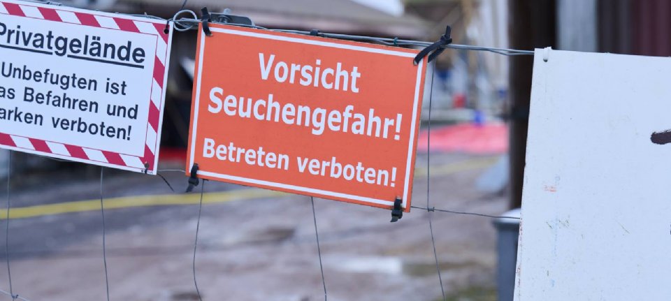 Nieuwe verdenking MKZ in Brandenburg - Nieuwe Oogst