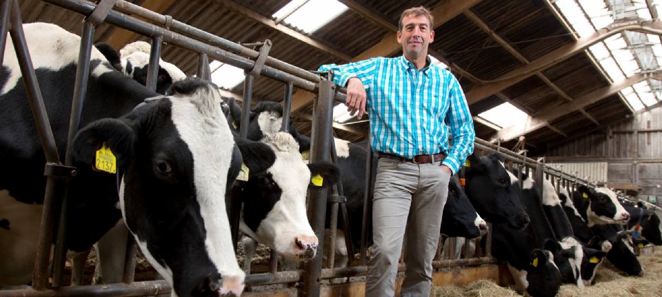 Piet Boer: 'Druk op kaasprijs' - Nieuwe Oogst