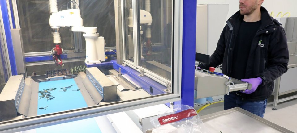 Batouwe leert werken met nieuwe steekrobot - Nieuwe Oogst