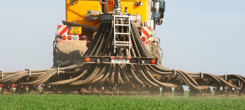 'Zorg dat je voldoende mest in de put houdt' - Nieuwe Oogst