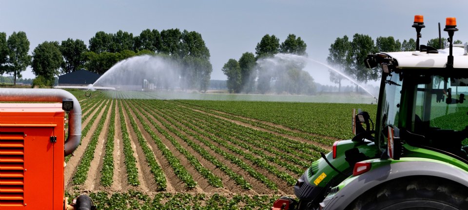 Neerslagtekort loopt op tot recordhoogte; vochtvoorziening houdt telers ...