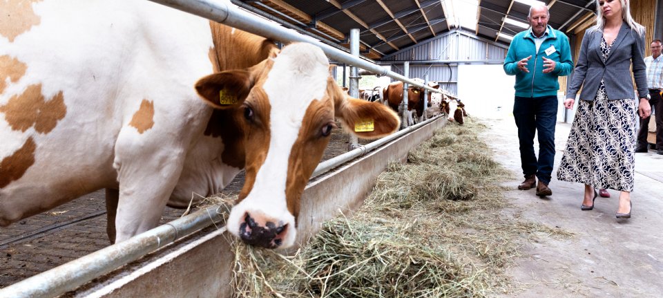 'Convenant dierwaardige veehouderij is beste optie voor veehouder ...