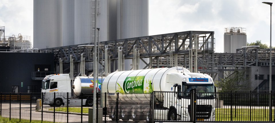 Plusjes in zuivelmarkt terwijl melk rijkelijk vloeit - Nieuwe Oogst
