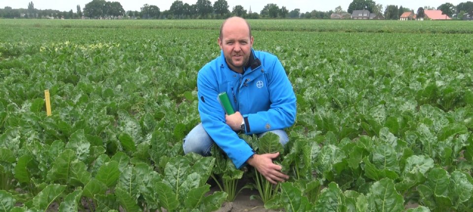 Spuitschema met hoogste rendement - Nieuwe Oogst