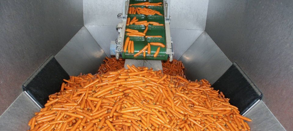 Goede peen toch nog duur - Nieuwe Oogst