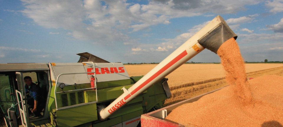 Vraag voedsel door groeiende middenklasse - Nieuwe Oogst