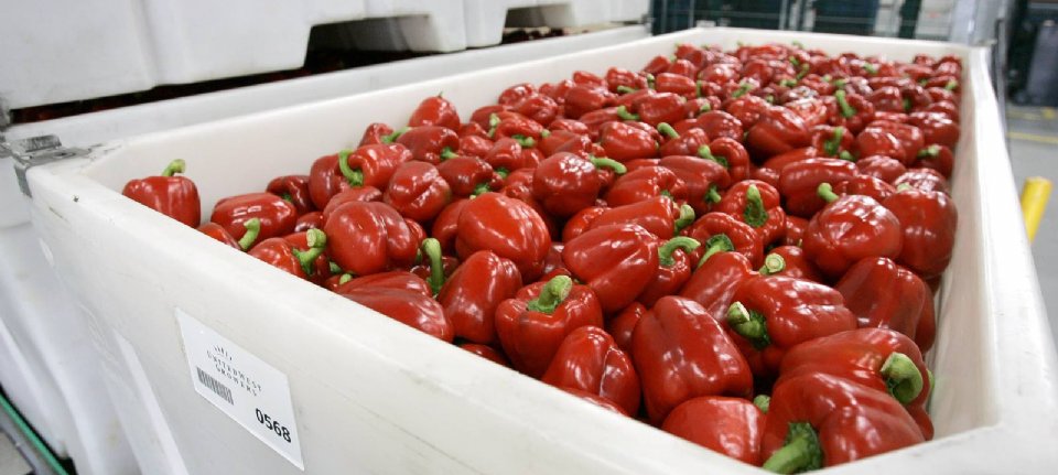 Jaarlijks 2 miljoen doden besmet voedsel - Nieuwe Oogst