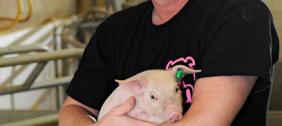 Eric Douma: 'Duurzaam via eerlijk model' - Nieuwe Oogst