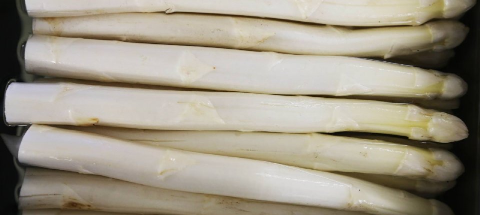 Omzet Veiling ZON daalt naar 295 miljoen euro - Nieuwe Oogst