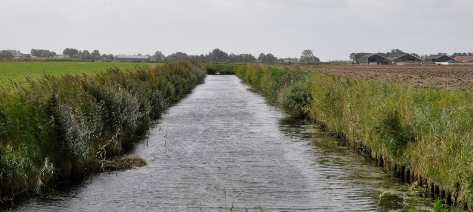 Peilbuis brengt risico natte grond in beeld - Nieuwe Oogst