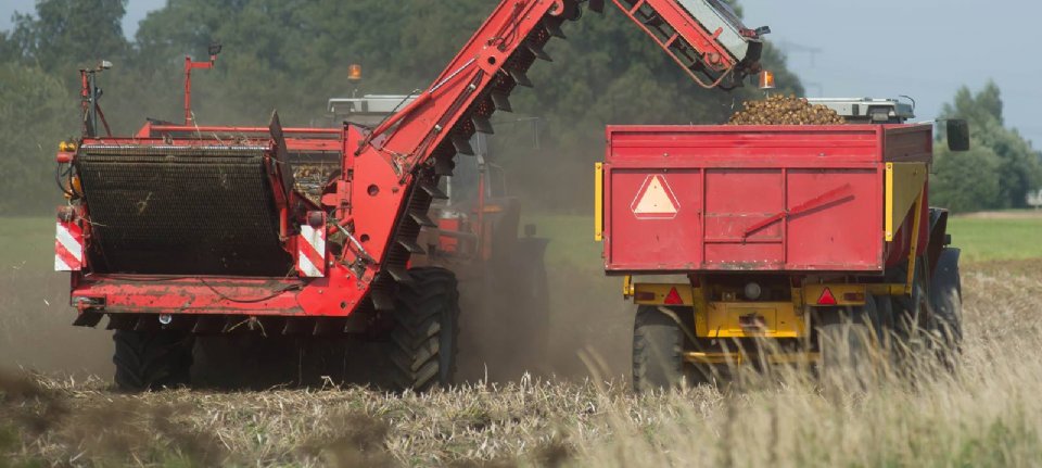 Opbrengsten Challenger en Innovator redelijk - Nieuwe Oogst